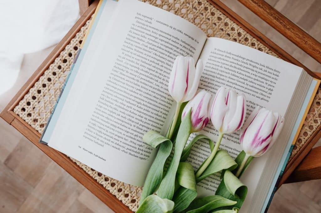 DIY Brochure Ideas: 9 Creative Brochure Design Ideas for Unique Content ...